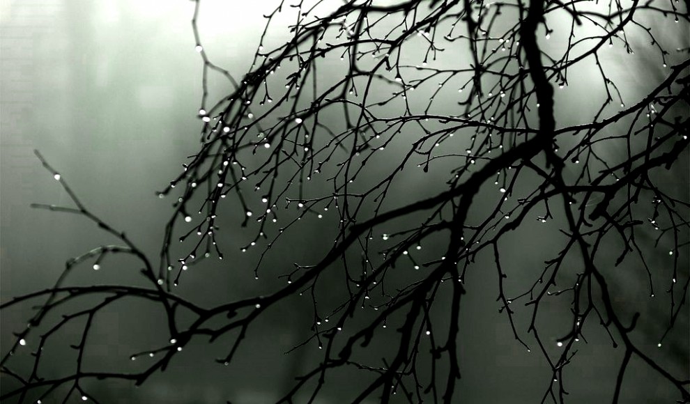 Southwest monsoons in Sanskrit kāvya | IndiaFactsIndiaFacts